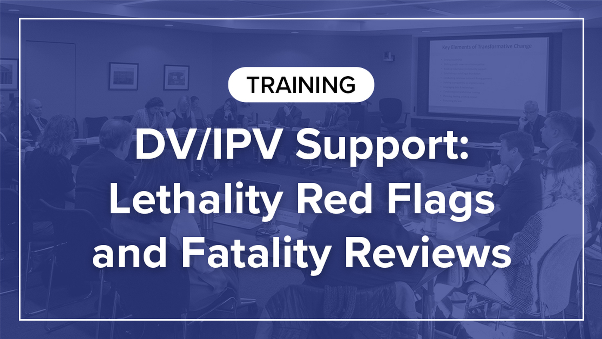 DV/IPV Support: Lethality Red Flags and Fatality Reviews - Advancing ...
